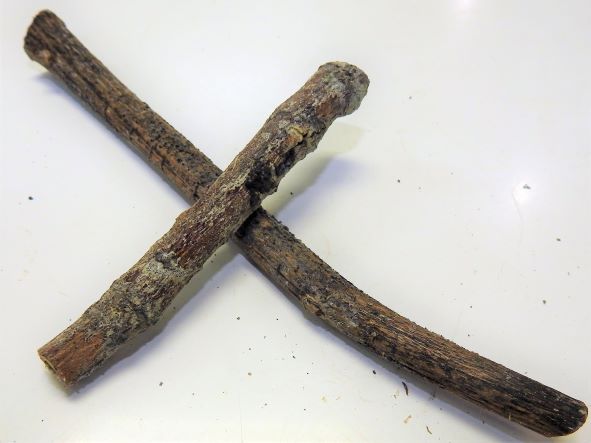 Palo Ayua – Botanica La Marina