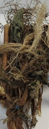 GUISAZO DE CABALLO EN MAZO – Botanica La Marina